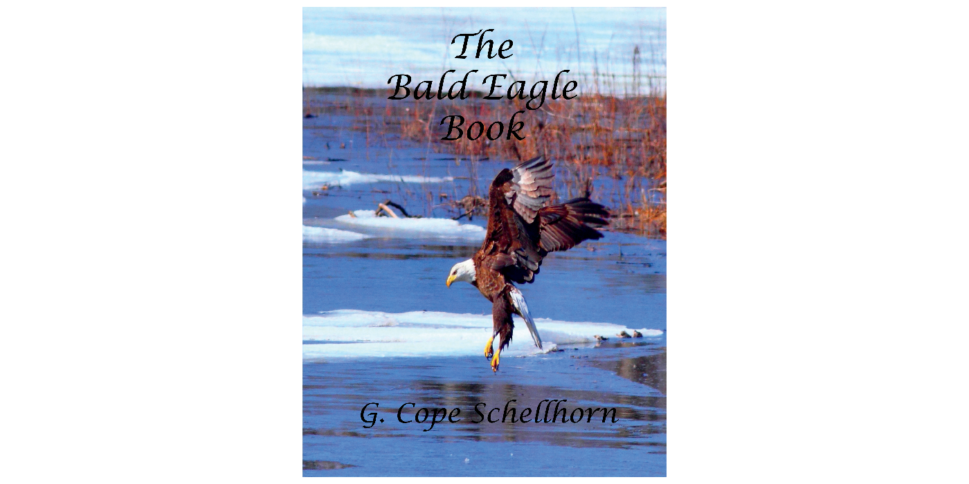 The Bald Eagle Book | BookBaby Bookshop