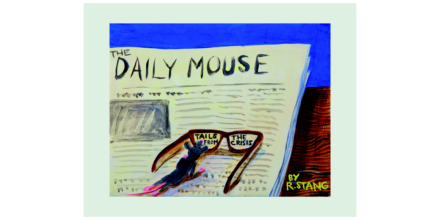 The Daily Mouse | BookBaby Bookshop