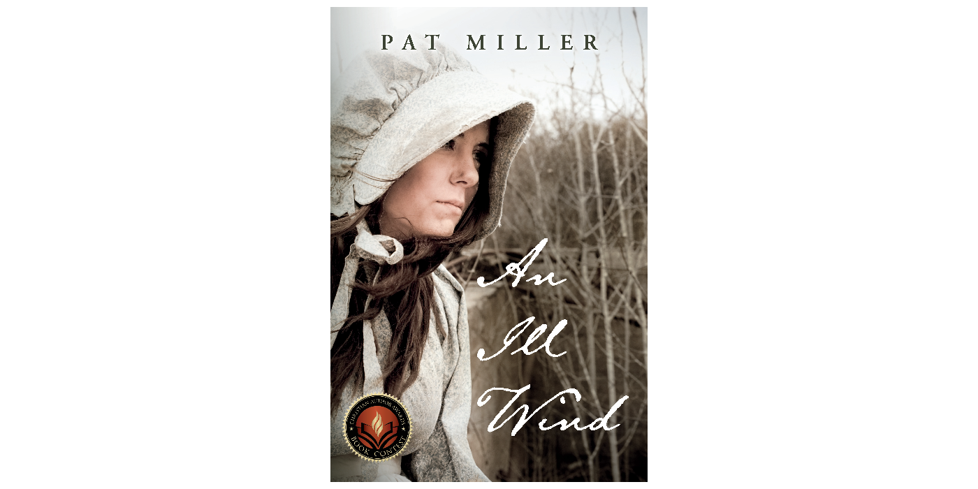 An Ill Wind | BookBaby Bookshop