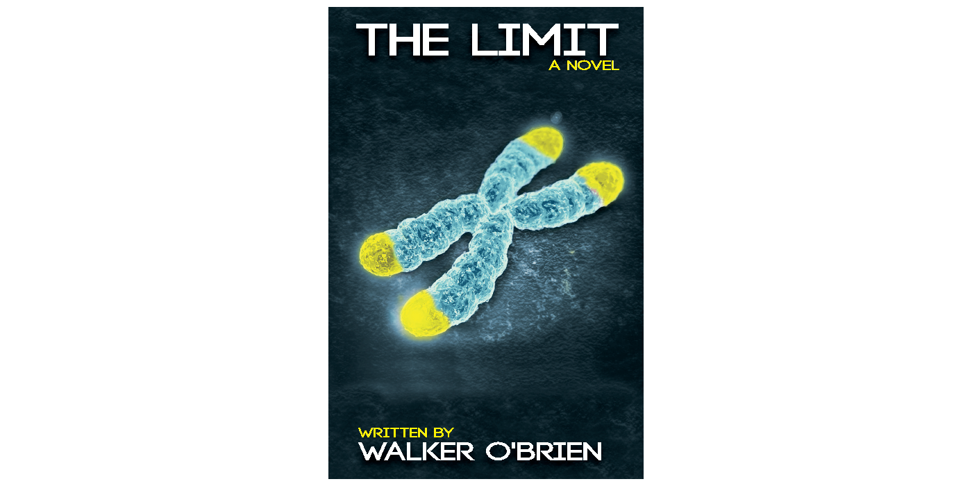 The Limit | BookBaby Bookshop