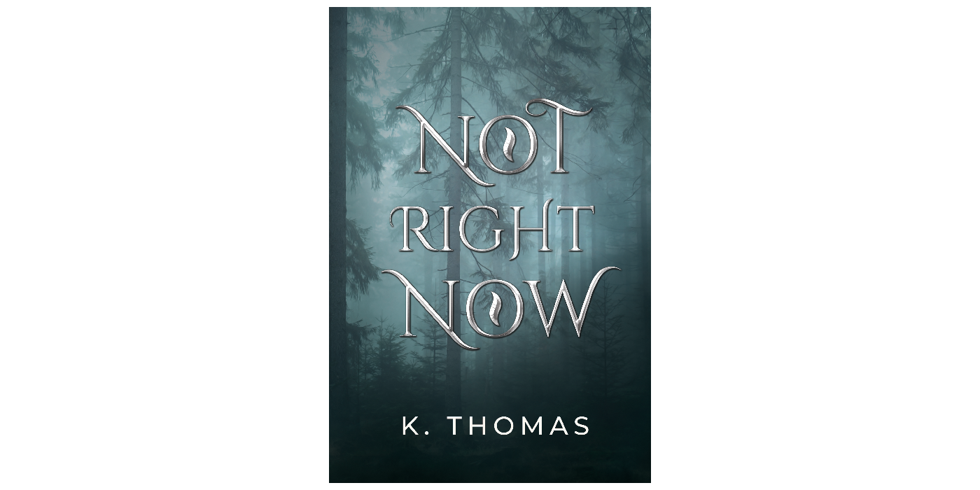 Not Right Now | BookBaby Bookshop