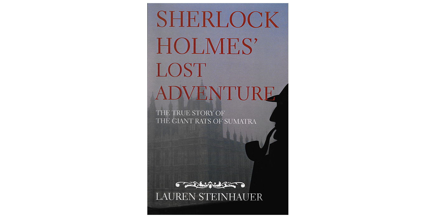 Sherlock Holmes' Lost Adventure | BookBaby Bookshop