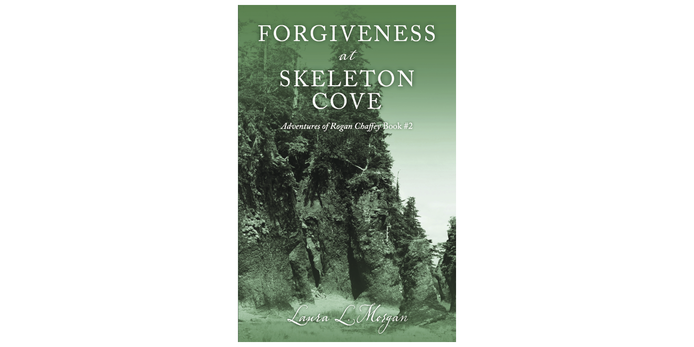 Forgiveness at Skeleton Cove | BookBaby Bookshop