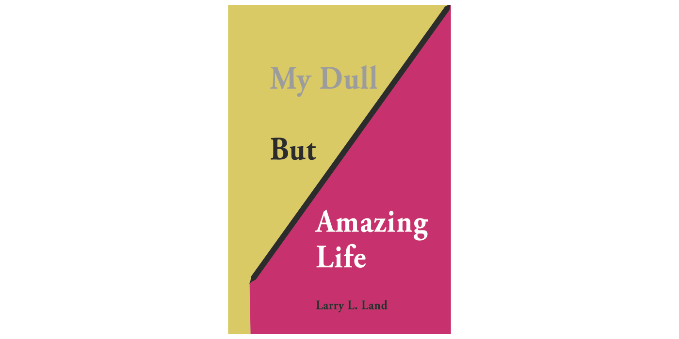 My Dull but Amazing Life | BookBaby Bookshop