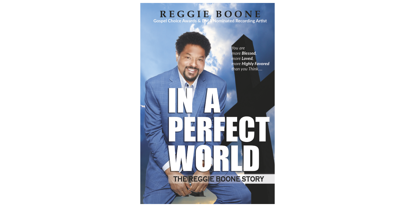 In A Perfect World | BookBaby Bookshop