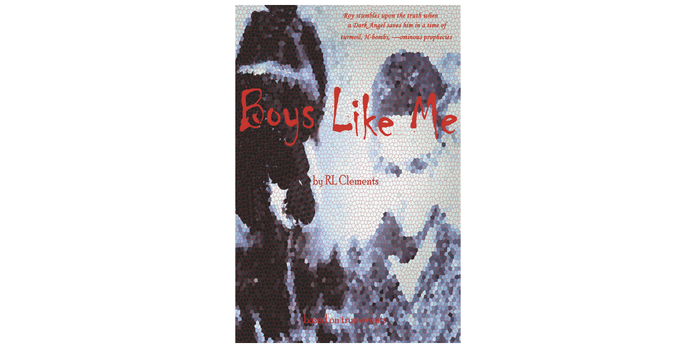 Boys Like Me | BookBaby Bookshop