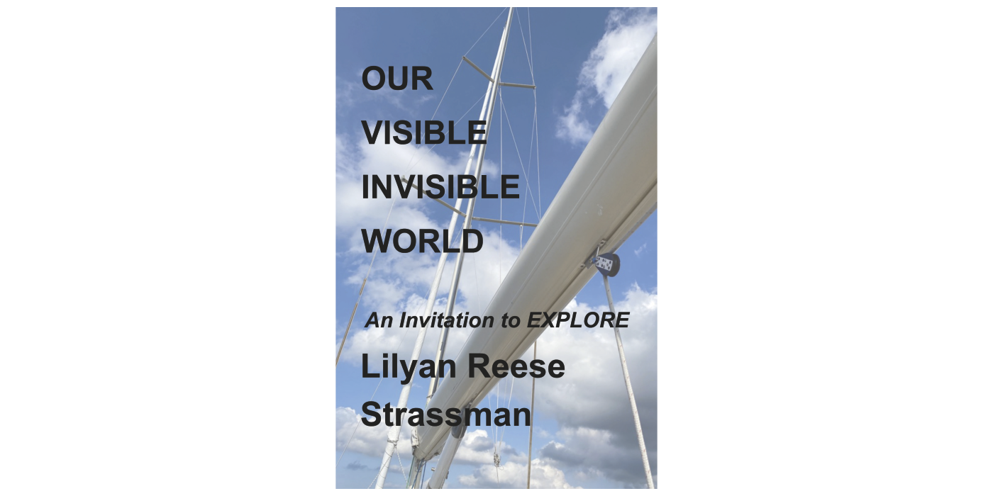 Our Visible Invisible World | BookBaby Bookshop