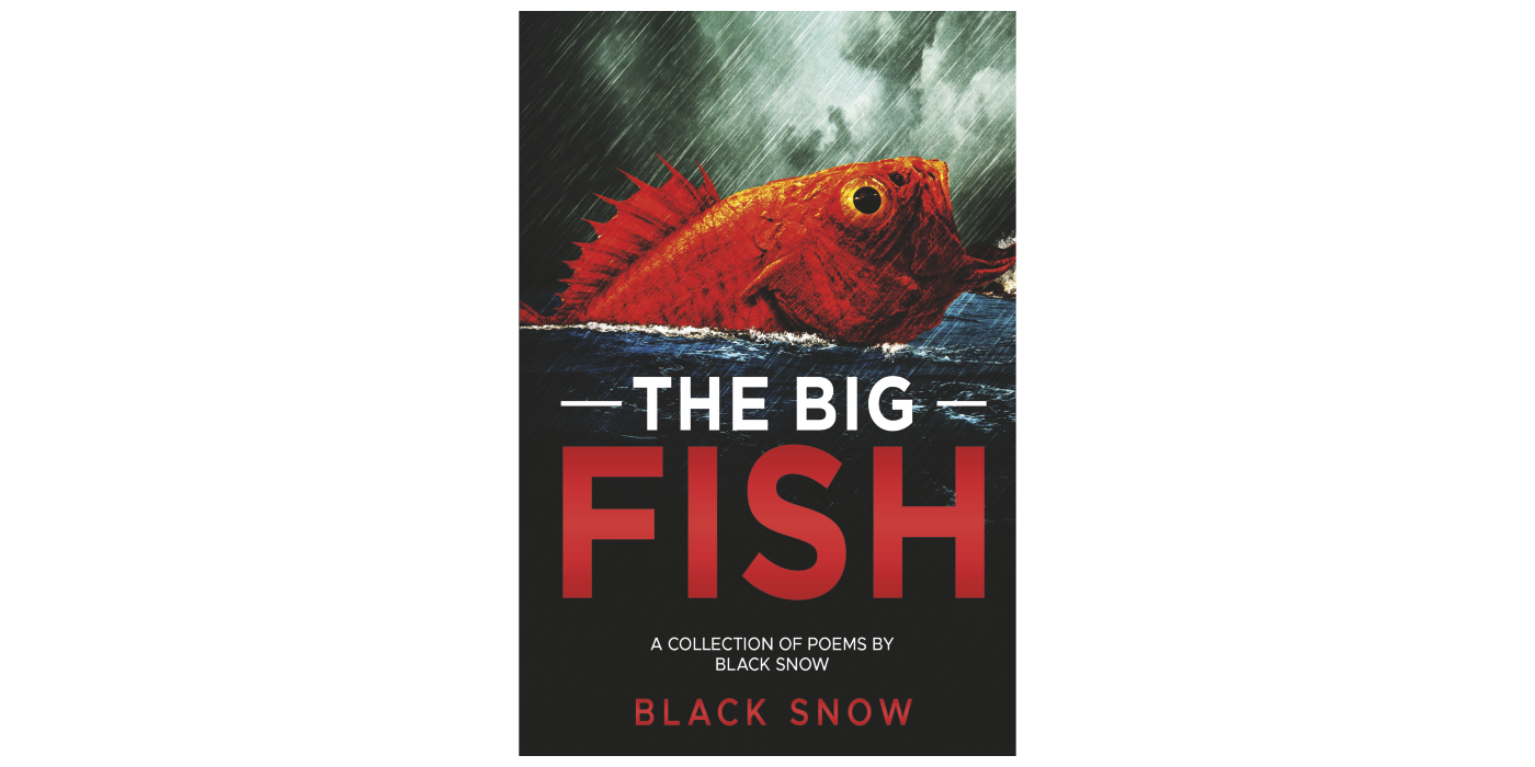 The Big Fish | BookBaby Bookshop
