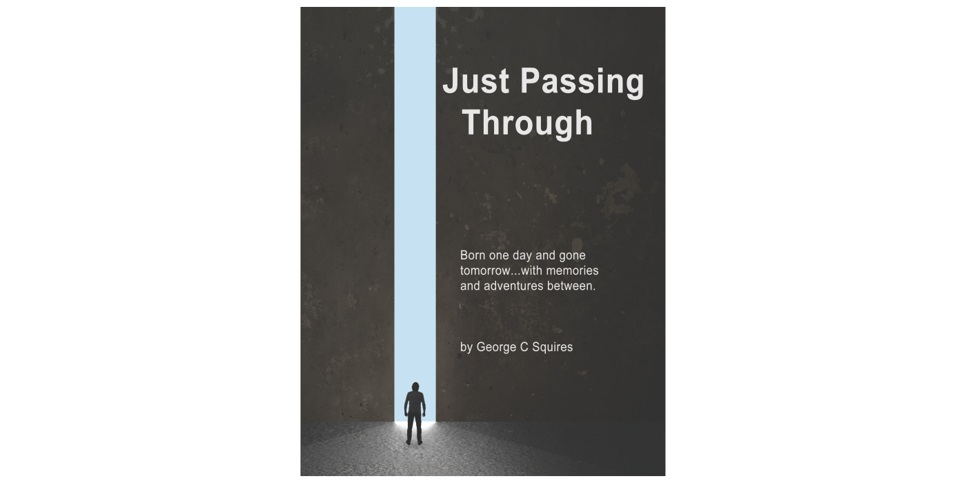 Just Passing Through | BookBaby Bookshop
