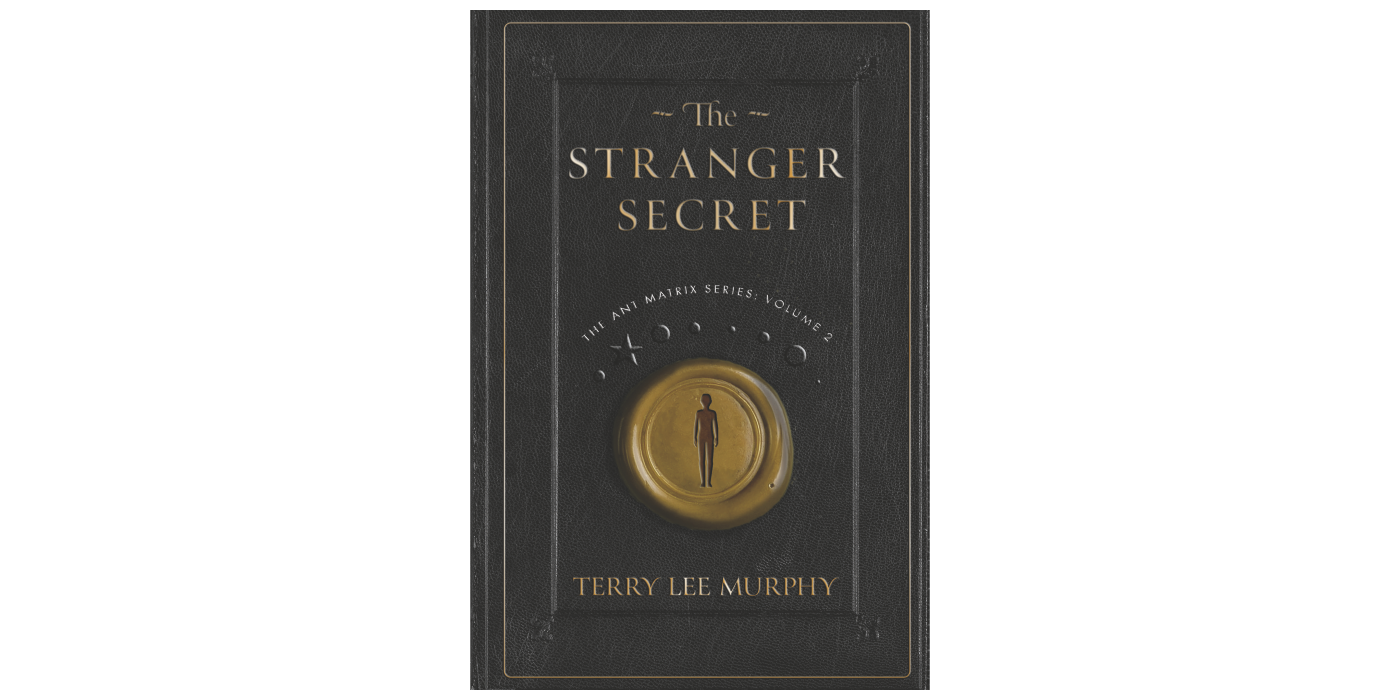 The Stranger Secret | BookBaby Bookshop