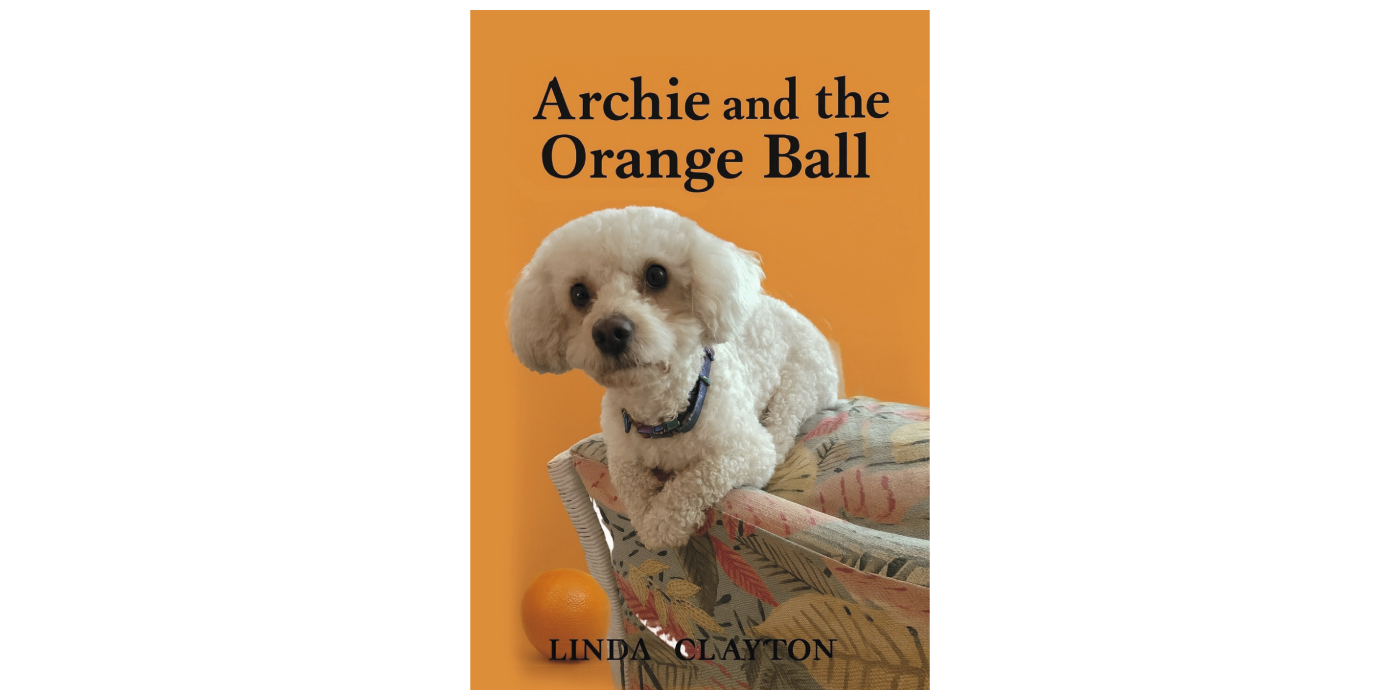 Archie and the Orange Ball | BookBaby Bookshop