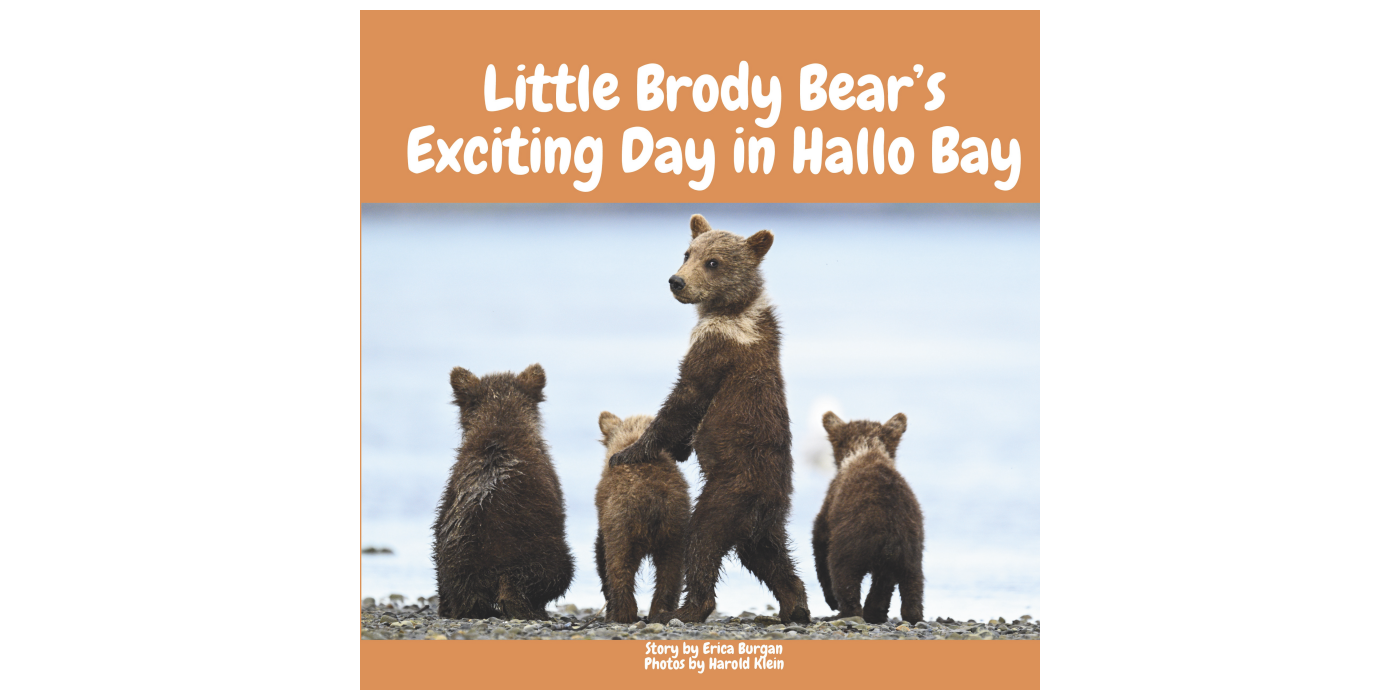 Brody Bear Book | BookBaby Bookshop
